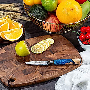Dnifo Classic Paring Knife 3.5 Inch, Damascus Steel Japanese Knife - Sharp fruit knife for Peeling, Cutting, and Slicing - Non-stick Blade and Anti-rusting Forged Cutlery Knife