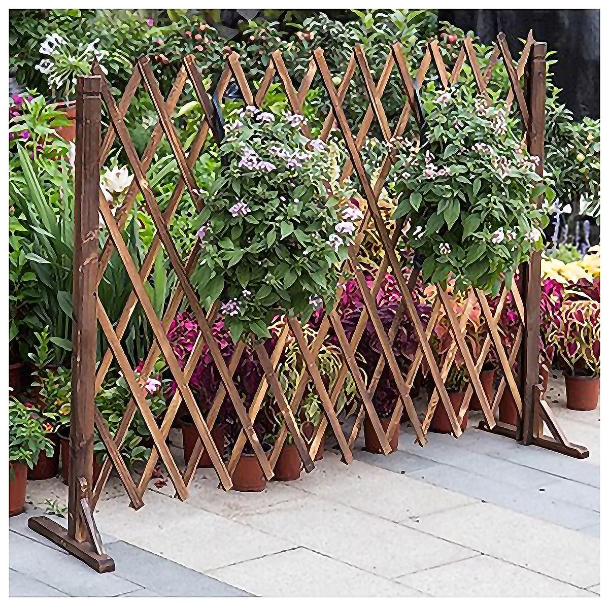 Expandable Wooden Fence, Freestanding Wood Garden Trellis Fencing, Fence Panel Partition Decorative, for Indoor Outdoor Garden Courtyard (Color : Natural, Size : 80x160cm)