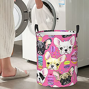 KiuLoam Cute French Bulldog 19.6 Inches Large Storage Basket Collapsible Organizer Bin Laundry Hamper for Nursery Clothes Toys