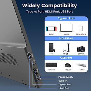 FANGOR Portable Monitor for Laptop (Black)
