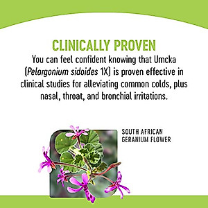 Nature's Way Umcka Allergy and Sinus Homeopathic Chewable Tablets- Cherry Flavor- 20 Count