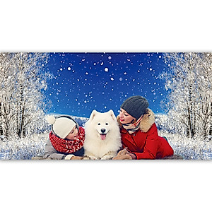 LFEEY 20x10ft Dreamy Forest Snowflake Background Winter Alps Snowy Landscape Photography Backdrop Falling Snow Covered Pine Tree Fir Mountain Snowfield Christmas New Year Holiday Studio Vinyl Props