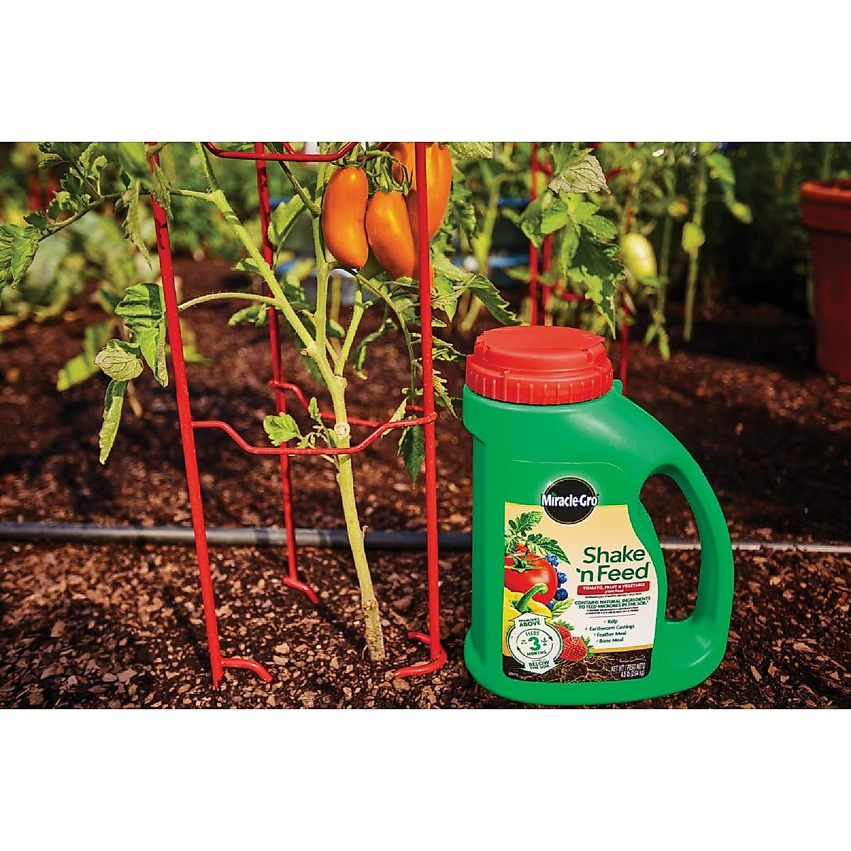Miracle Gro 3002610 4.5 Lb Shake 'n Feed Tomato, Fruits & Vegetables 9-4-12