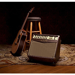 Acoustic A1000 100W Stereo Acoustic Guitar Combo Amp Level 1