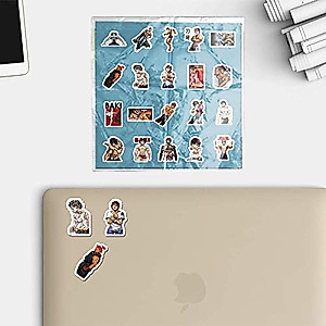 20 Pcs Stickers Pack Baki Aesthetic The Vinyl Grappler Colorful Waterproof for Water Bottle Laptop Bumper Car Bike Luggage Guitar Skateboard