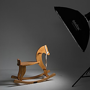 Godox Strip Box 9x35in / 22x90cm Strip SoftBox, Bowens Mount Softbox Compatible Studio Strobe MS300 SK400II AD600 AD400 and VL150II SL-60W SL60II SL150III SL300III SZ200Bi LED Light (FW22x90 (1PCS)