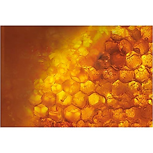 L'Oreal Paris Skincare Age Perfect Hydra-Nutrition All-Over Balm with Manuka Honey Extract and Nurturing Oils, to Soothe and Rescue Dry Skin, Paraben Free, 1.7 oz.