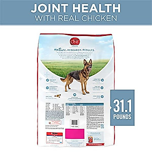 Purina ONE Plus Joint Health Formula Natural with Added Vitamins, Minerals and Nutrients Dry Dog Food - 31.1 lb. Bag