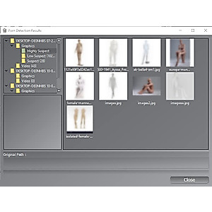 Porn Detection Stick - Scan Computers and Media for Pornographic Images & Videos