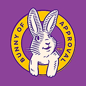 Annie's Organic Chewy Granola Bars, Chocolate Chip, 12 ct