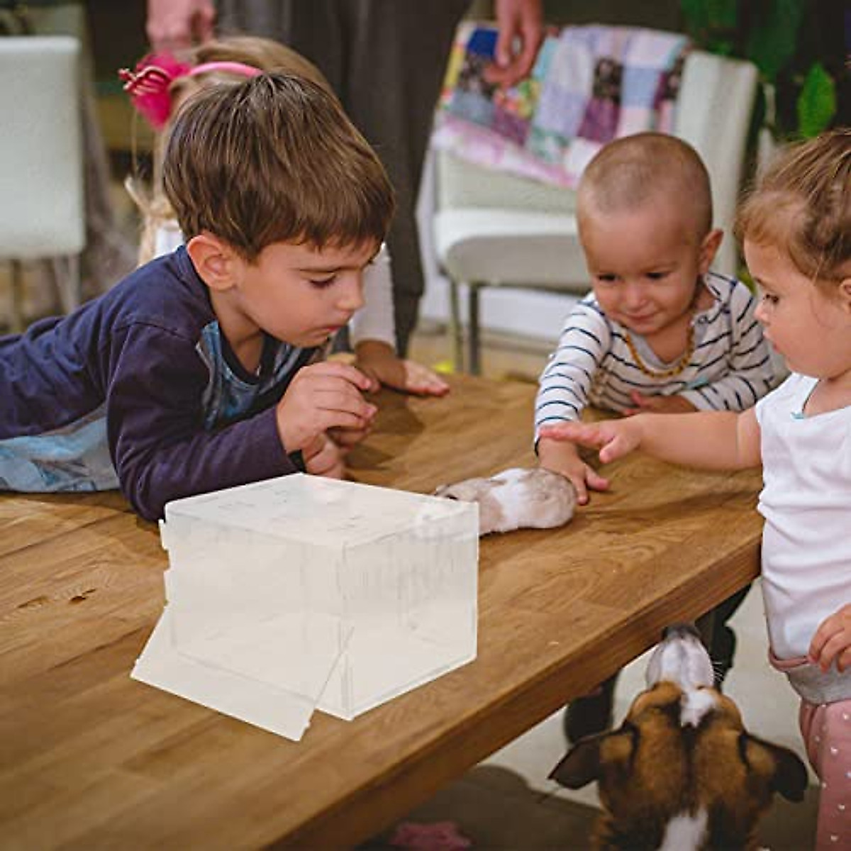 POPETPOP Pet Playpen Glass Hamster Cage Hamster Cage Acrylic Chinchilla House Habitat Mice Transparent Cage Small Pet Breeding Box for Your Small Pet 25X20X15CM Hamster Carrier Pet Toys