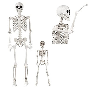 Posable Life Size Human Skeleton Family Set of 2 -Adult (5' 2")& Children (2')-Halloween Prop Indoor Outdoor Decorations w Bones- Fun & Educational Science Classroom