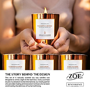 Pack of 4 Scented Candles Gift Set, Eucalyptus&Orange, Wild Lavender, Lemongrass&Basil, Lilac&Rose Wood Wick Candles for Home Scented, 6oz Soy Candles Gifts for Women, 35 Hour Burn Aromatherapy Candle