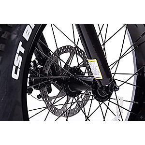 NARRAK Electric Fat Tires Folding Bike, 750W Brushless Motor Peak 1100W, 48V13Ah Removable Battery, Max 28Mph, LCD Display, Suspension, Step-Over/Through Frame for Adult (S128-WHITE)