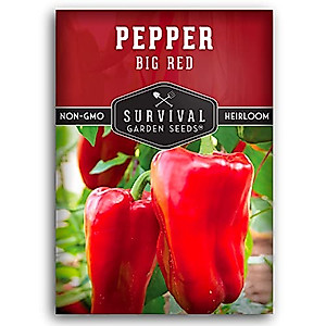 Survival Garden Seeds - Big Red Pepper Seed for Planting - Packet with Instructions to Plant and Grow Delicious Sweet Red Bell Peppers in Your Home Vegetable Garden - Non-GMO Heirloom Variety