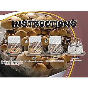 Booming Acres | The Magical 5lb All-in-One Mushroom Grow Bag | Mushroom Grow Kit | Harvest Your own Happiness | Discover The Magic of Growing Mushrooms - 5lb Grow Bag Mushroom Starter Kit