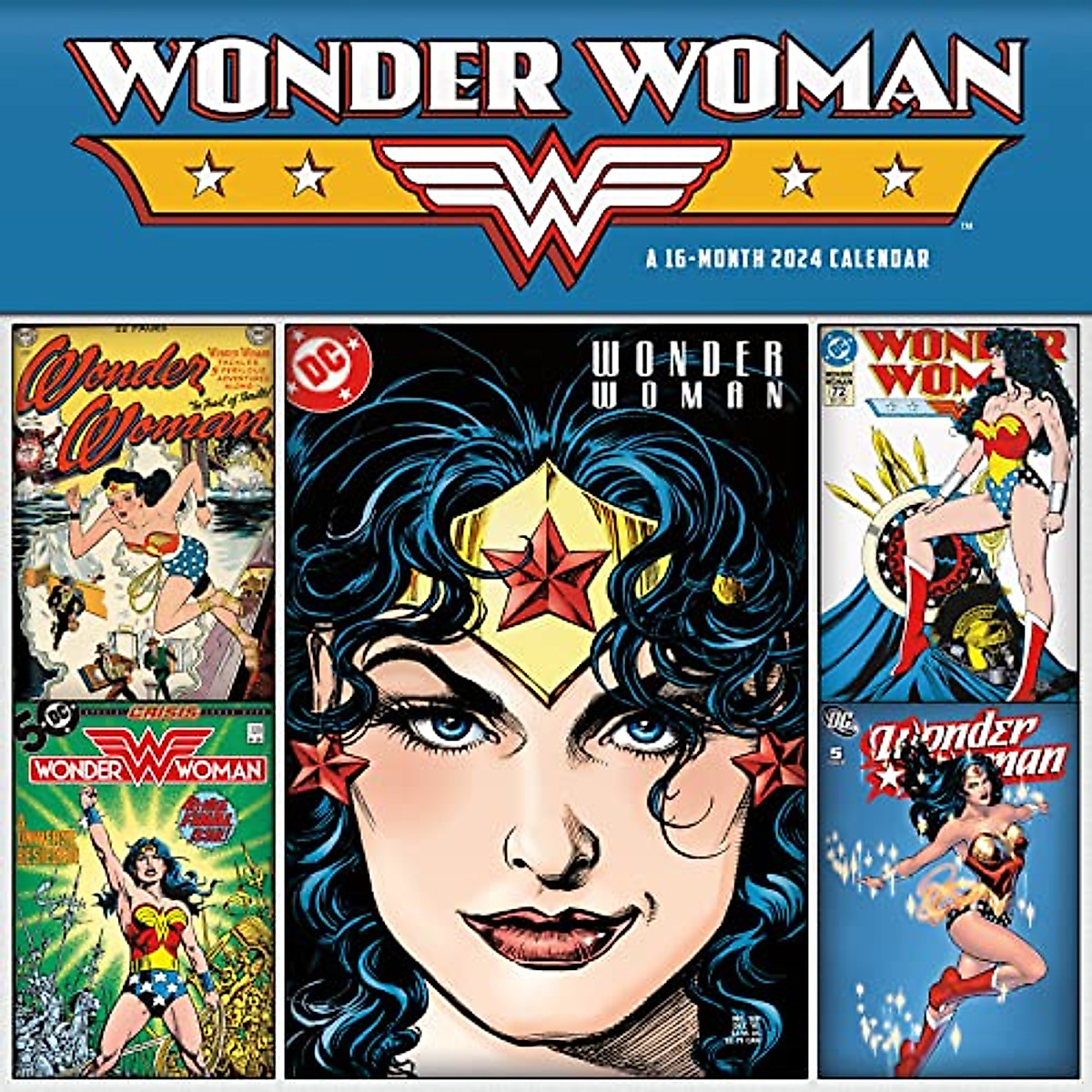 2024 DC Comics Wonder Woman Wall Calendar & Push Pins
