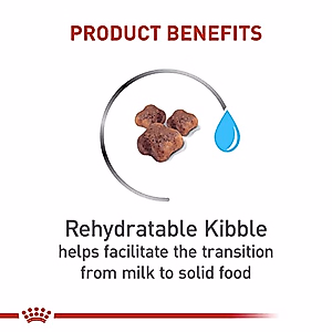 Royal Canin Feline Health Nutrition Mother & Babycat Dry Cat Food, 3 lb Bag