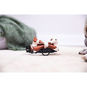 BOW Teddy - Modular Dog Collar