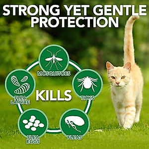 Vet's Best Flea and Tick Home Spray for Cats | Flea Treatment for Cats and Home | Plant-Based Formula | 96 Ounces Refill