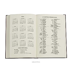 Van Gogh's Irises (Van Gogh's Irises) Maxi 12-month Dayplanner 2024