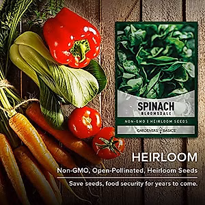 Bloomsdale Spinach Seeds for Planting is A Great Heirloom, Non-GMO Vegetable Variety- Great for Indoor, Outdoor and Hydroponics Gardening by Gardeners Basics