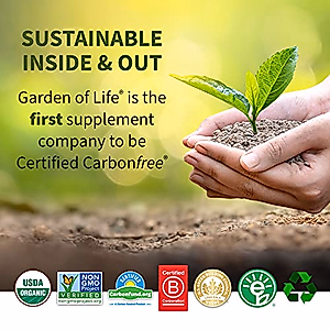 Garden of Life Kids Organic Vitamin D3 Gummies with 800 IU (100% Daily Value) for Strong Bones, Teeth, Brain & Immunity – Non-GMO, No Gluten, Vegetarian, Sugar Free, Orange Flavor, 60 Servings