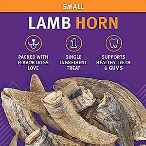 Icelandic+ Plus Small Lamb Horn with Marrow Dog Chew