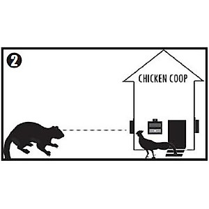 Nite Guard Solar NG-001 Predator Control Light,Single Pack, Black