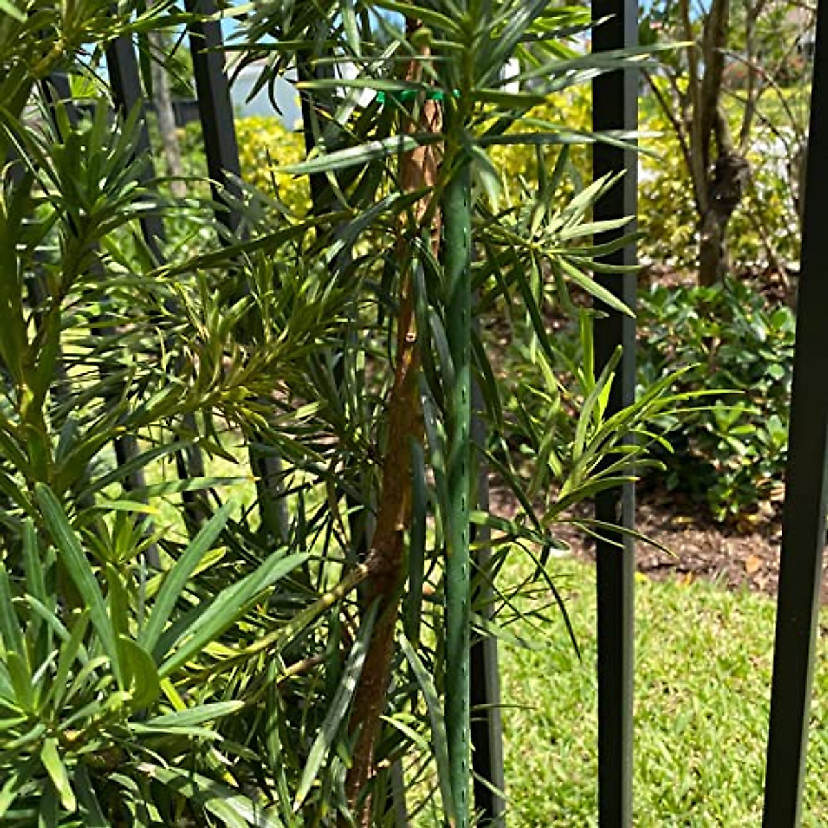 Garden Stakes 60 Inches Plastic Coated Hollow Steel Plant Stakes, Tomato Stakes, Pack of 25