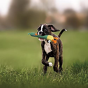 Nocciola 2 in 1 Squeaky Duck Dog Toy: Cute Stuffed Dog Chew Toys with Large Durable Rubber Squeaker for Aggressive Chewers, Large, Medium Small Dogs, Plush Crinkle Pet Puppy Supplies