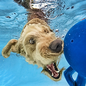 GoPro HERO+ (Wi-Fi Enabled)