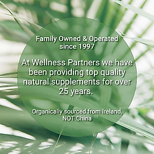 UTI Slip D-Mannose Non GMO Organic Source Veggie Capsules 90 Count (500 Mg)