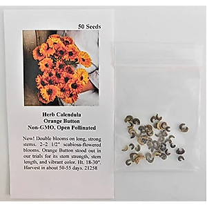 David's Garden Seeds Herb Calendula Orange Button FBA-00085 (Orange) 50 Non-GMO, Open Pollinated Seeds