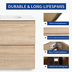 Kootlena Wall Mounted Bathroom Vanity with Sink Combo, Modern 24" Bathroom Vanity Set with Top Basin & 2 Storage Drawers, Floating Bath Storage Cabinet w/Gel Sink