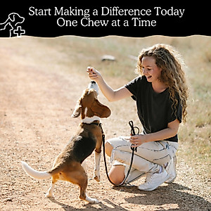 Kargo Empire Probiotic Dog Supplement – Supports Digestion & Healthy Immune System – Helps with Gut Health, Itchy Skin, Seasonal Allergies, and Yeast – 4 Billion CFU’s/2 Chews – 140 Soft Chews