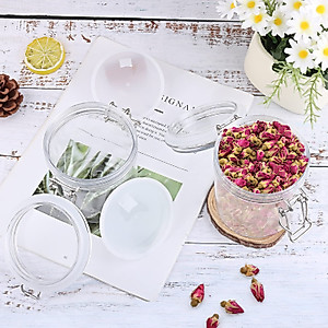 2 Pack 500ml/17oz Plastic Storage Jars Clear Wide Mouth Canning Jar Empty Sealed Bottle Container with Airtight Lid for Food Storage Liquid Powder Herbs Coffee Sugar Nuts Cosmetic