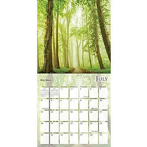 2021 Enchanted Pathways: Photography by Lars van de Goor 16-Month Wall Calendar