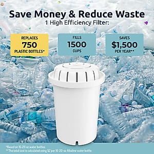 PH001 1-Pack Alkaline Water Filter – Plus 1 PH002 UF Membrane Filter - Value Bundle by Invigorated Water