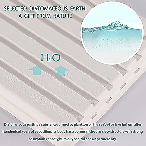 Instant Dry Sink Organizer(8.27" X 3.94"), Diatomaceous Earth Kitchen Soap Tray Set of 2, Storage Rack Under Sink in The Modern Home