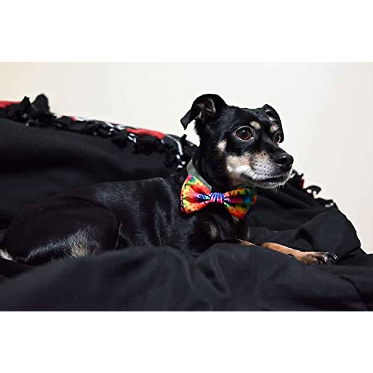 H&K Bow Tie for Pets | Woodstock (Small) | Velcro Bow Tie Collar Attachment | Fun Bow Ties for Dogs & Cats | Cute, Comfortable, and Durable | Huxley & Kent Bow Tie