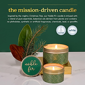 Paraffin-Free Scented Candle in Gold Tin, Vegan Palm Wax Candles, Spicy & Christmassy Scented Candles, Holiday or Birthday Gifts for Women & Men, 30-Hour Burn Time, 6 oz - GoodLight (Noble Fir)