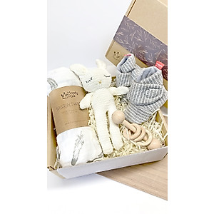 Moody Park Baby Gift Basket - Gender Neutral Baby Items, Baby Boy Gift Set, Baby Shower Basket, Baby Welcome Box, Baby Boy Gift Basket, New Born Boy Baby Gift