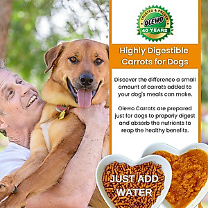 Olewo Bundle Original Carrots for Dogs & Rootsies Dog Food Toppers – Ultimate Dog Digestive Support, Sensitive Stomach Dog Food, Gut Health for Dogs, Fiber for Dogs – 2.2 lbs Each (4.4 lbs Total)