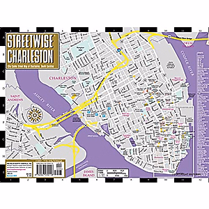 Streetwise Charleston Map - Laminated City Center Street Map of Charleston, South Carolina (Michelin Streetwise Maps)