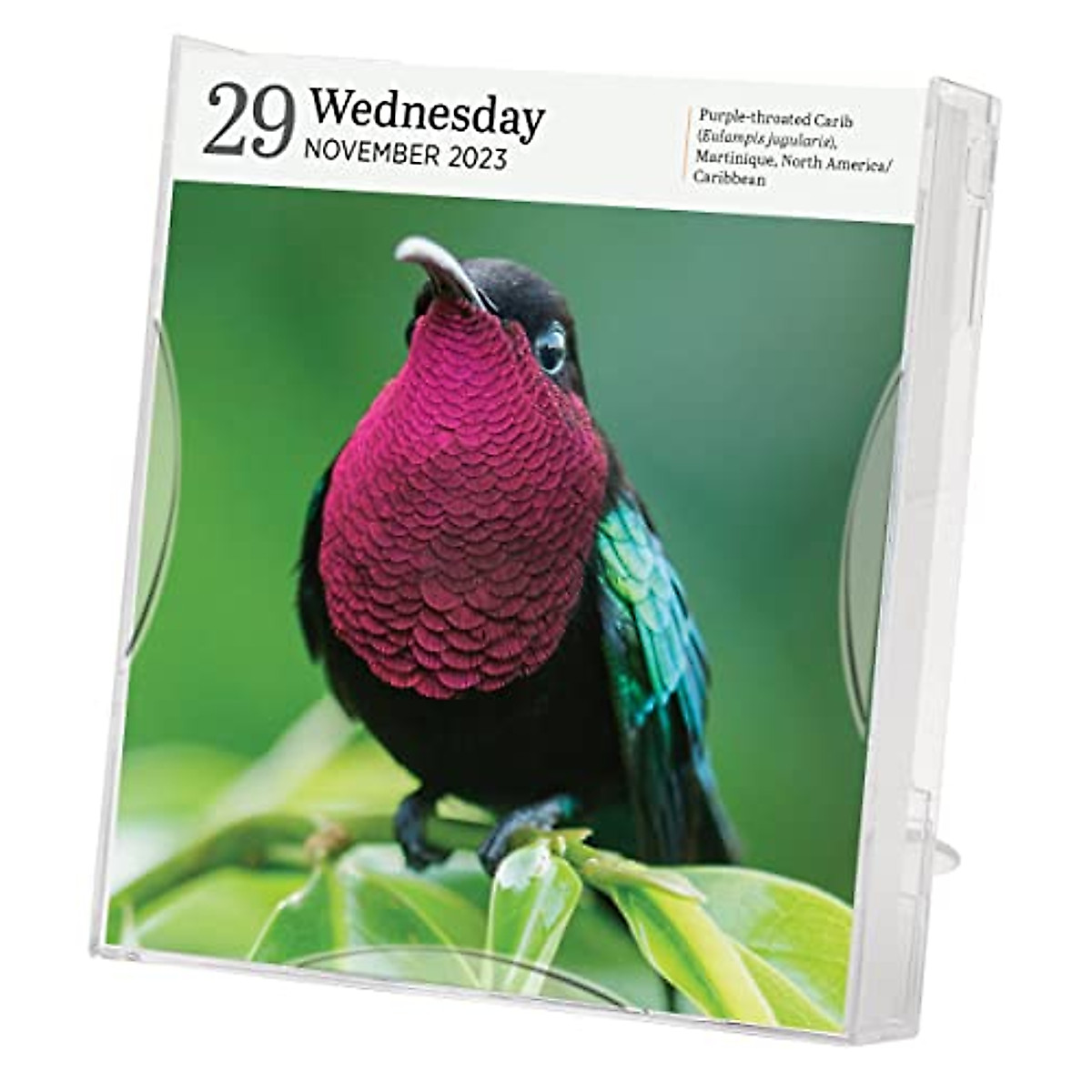 Audubon Birds Page-A-Day Gallery Calendar 2023: Hundreds of Birds, Expertly Captured by Top Nature Photographers