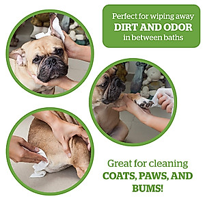 Pogi's Ultimate Dog Wipes Home & Travel Bundle - 400-Count Grooming Wipes for Home and 240-Count Packs for Travel