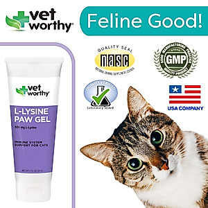Vet Worthy Lysine Paw Gel Aid for Cats - Cat Paw Gel to Support The Immune System and Overall Health - Cat Supplement with Amino Acid L-Lysine- Salmon Flavor Gel, 3oz
