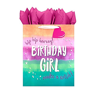 Blue House Group Premium Birthday Gift Bags + Tissue Paper (4 Large Bags + Tissue, Birthday Girl)