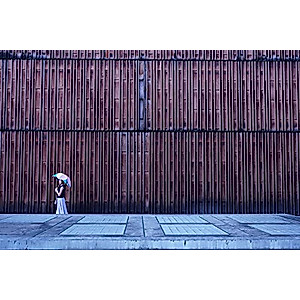 Sony Alpha A6100 Mirrorless Camera with 16-50mm Zoom Lens, Black (ILCE6100L/B)